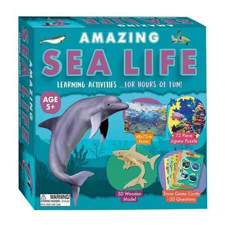 Amazing Sea Life Activity Set